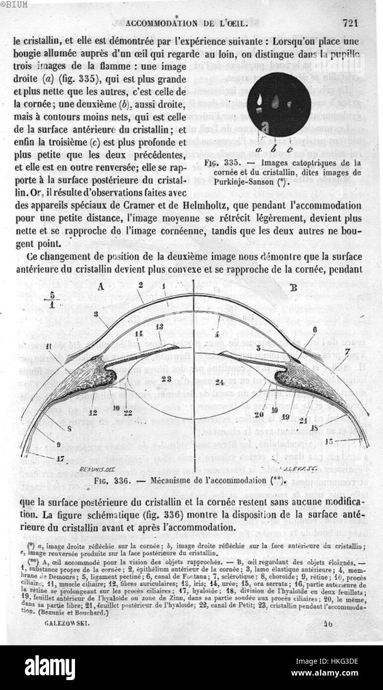 Purkinje High Resolution Stock Photography and Images - Alamy