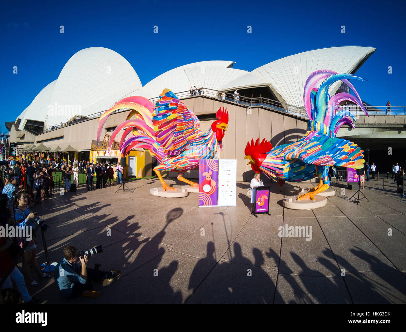Pictured are the two eight-metre-high Rooster lanterns pictured at the ...