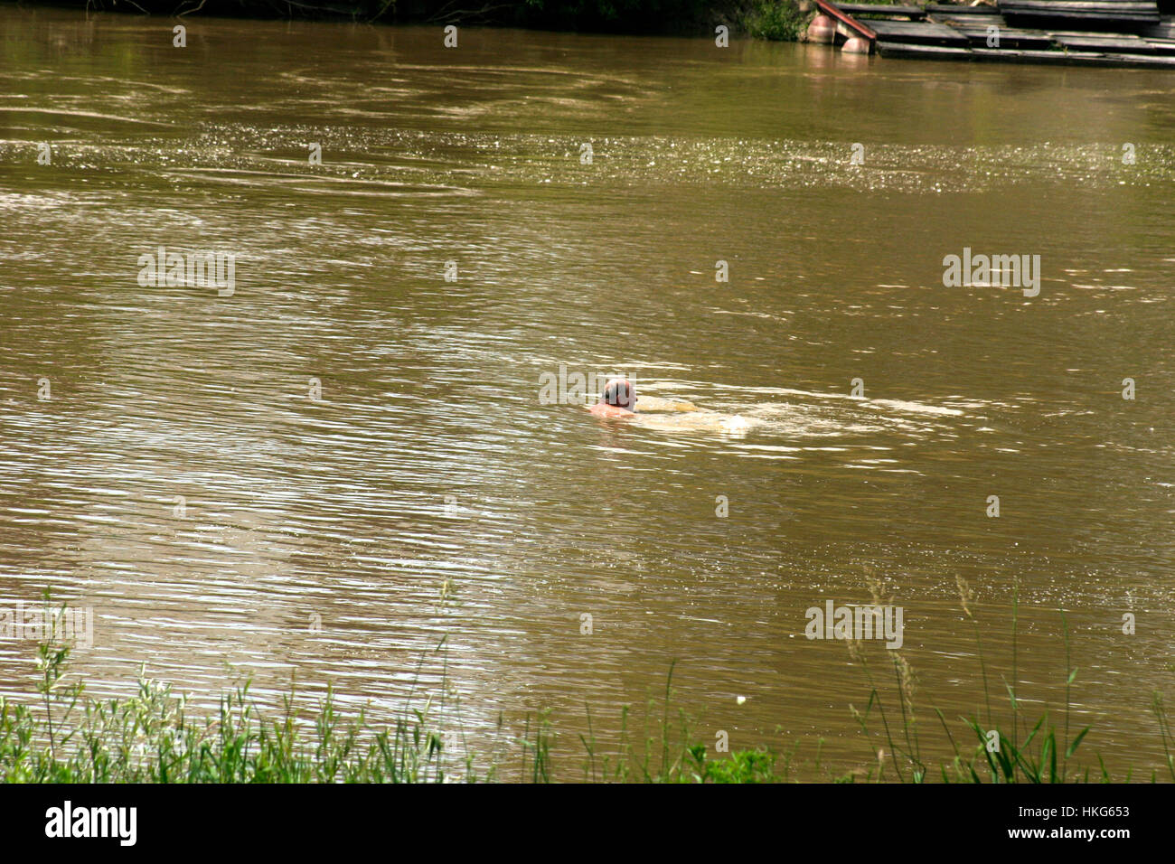 Man swimming in river Stock Photo - Alamy