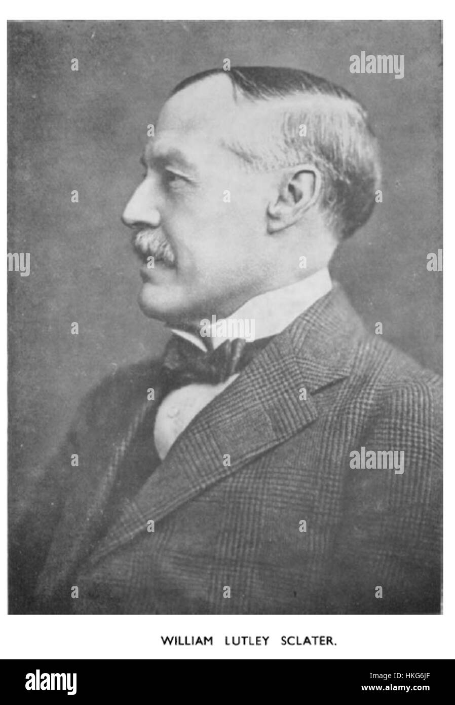 William sclater hi-res stock photography and images - Alamy
