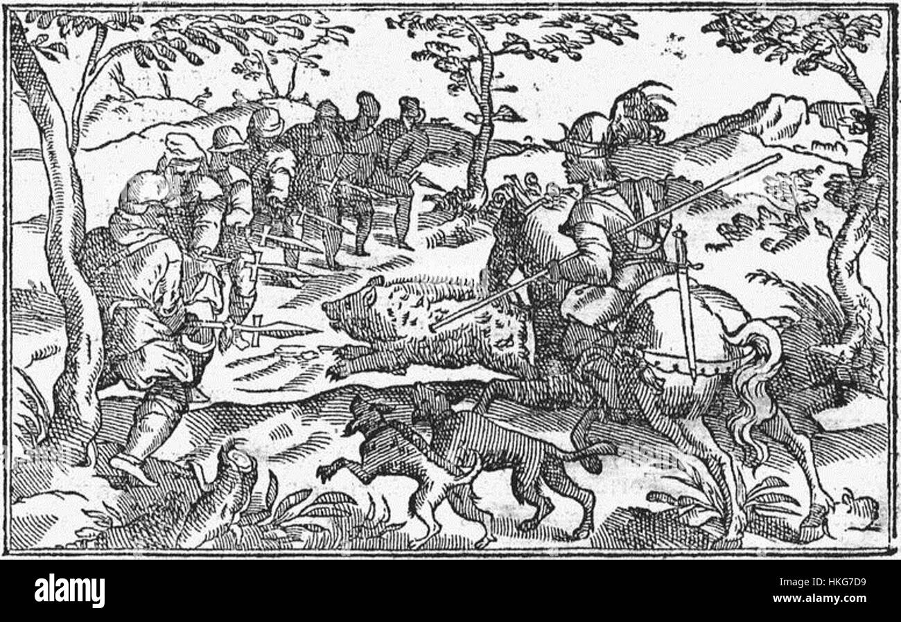 Wild boar hunting in Black and White Stock Photos & Images - Alamy