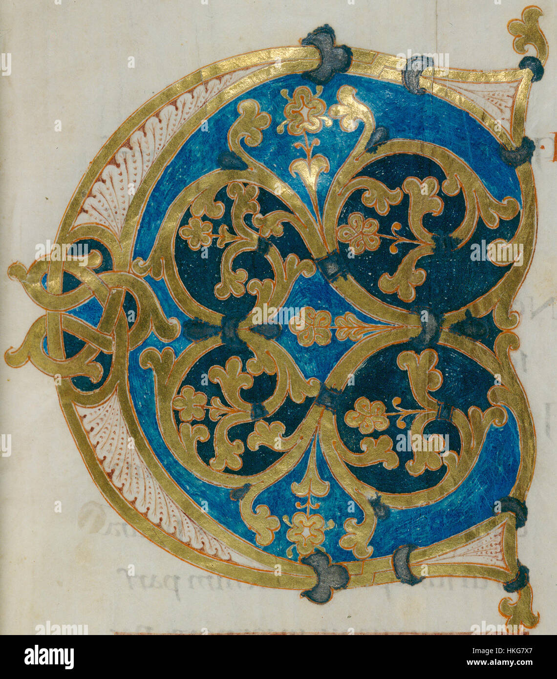 An illustration from *Cod Aug Perg*, showing a detailed page with ...