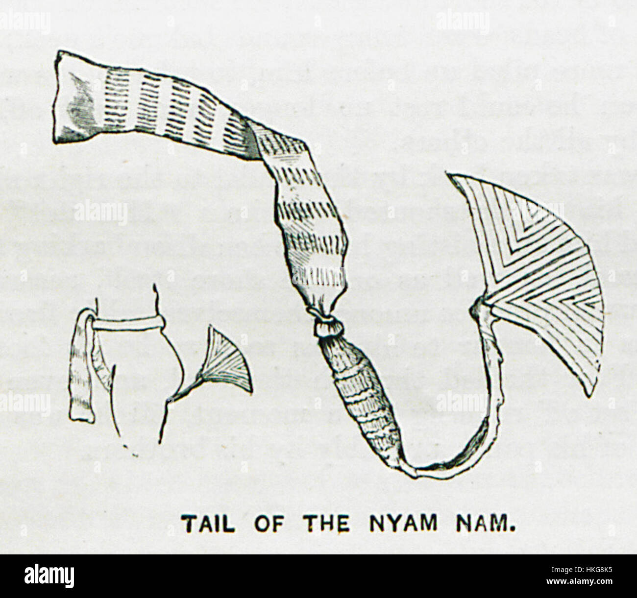 The painting 'Tail of the Nyam Nyam' by William Francis Ainsworth ...