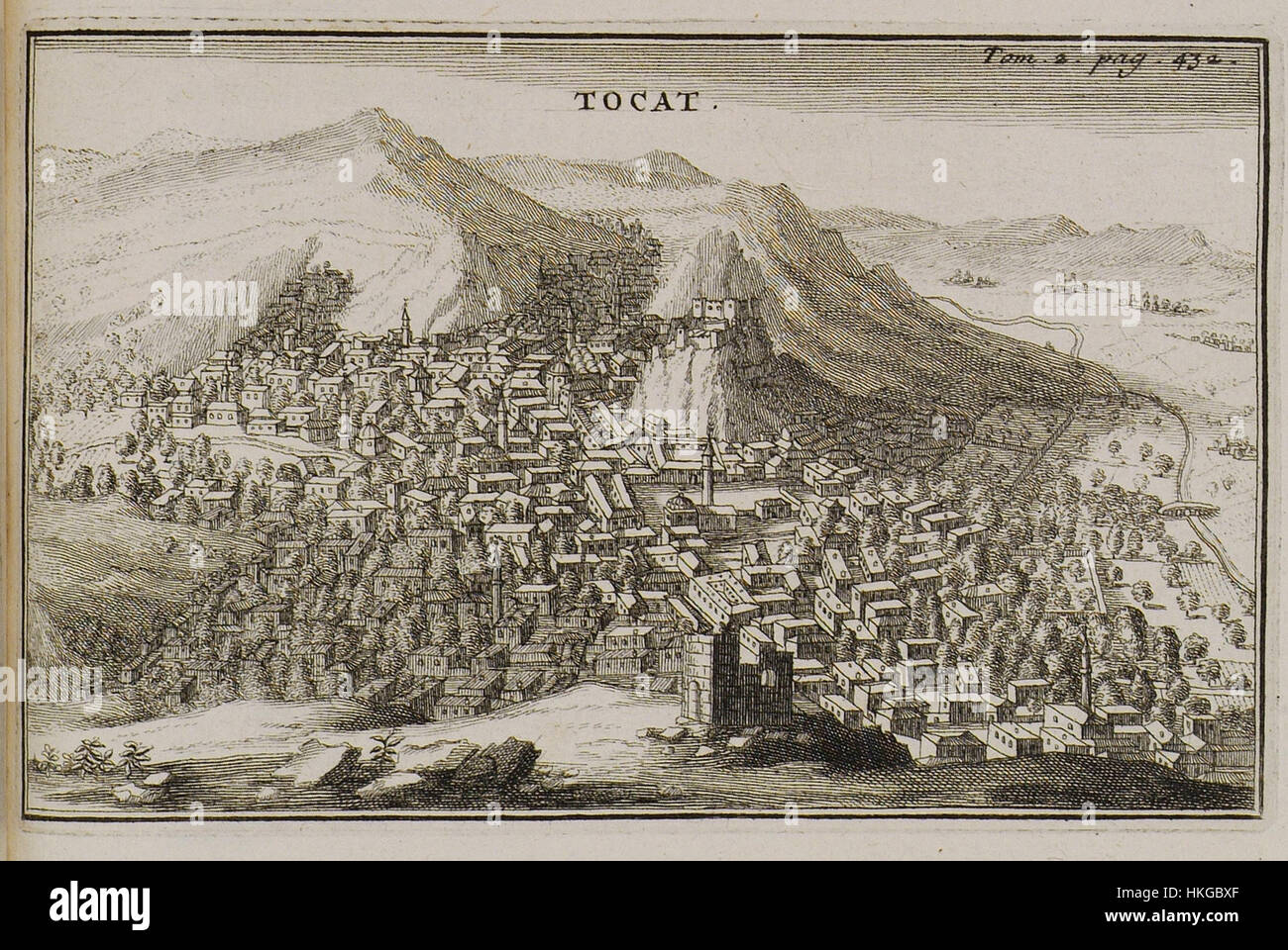 Joseph pitton tournefort hi-res stock photography and images - Alamy