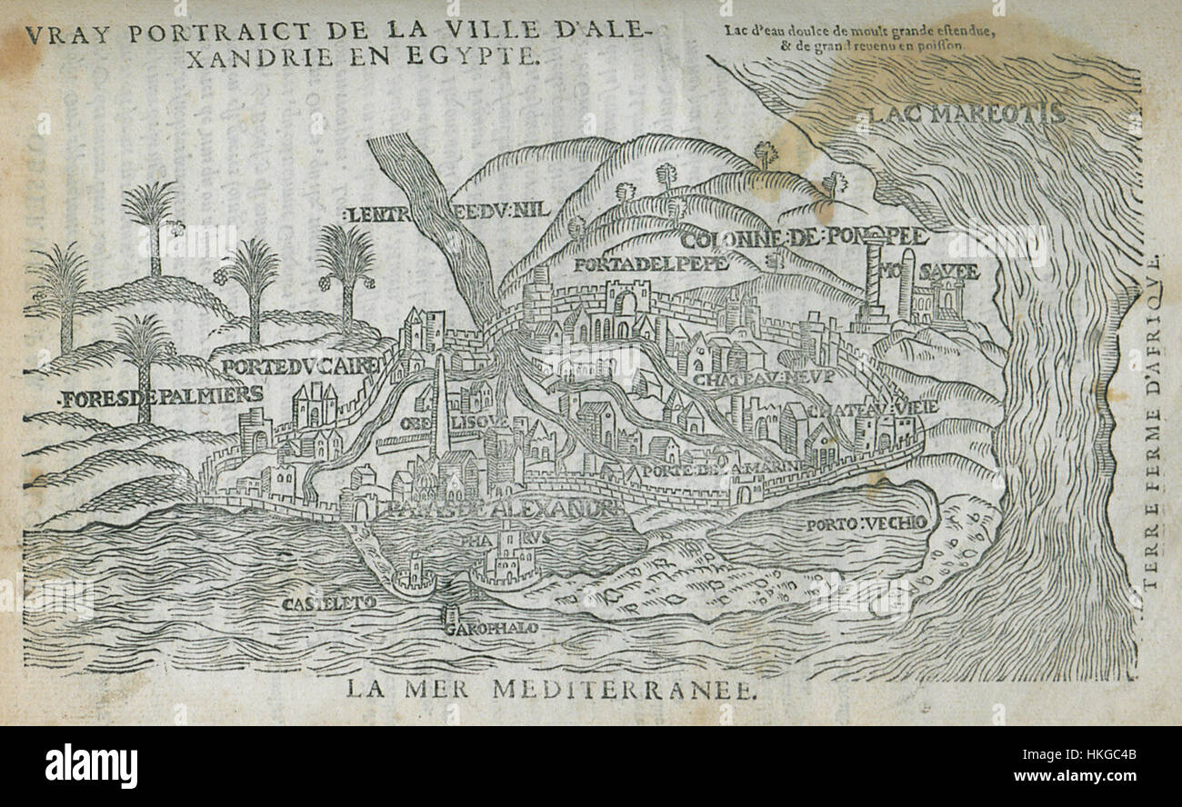 The 1554 Vray portrait of the city of Alexandria, Egypt, by Pierre ...