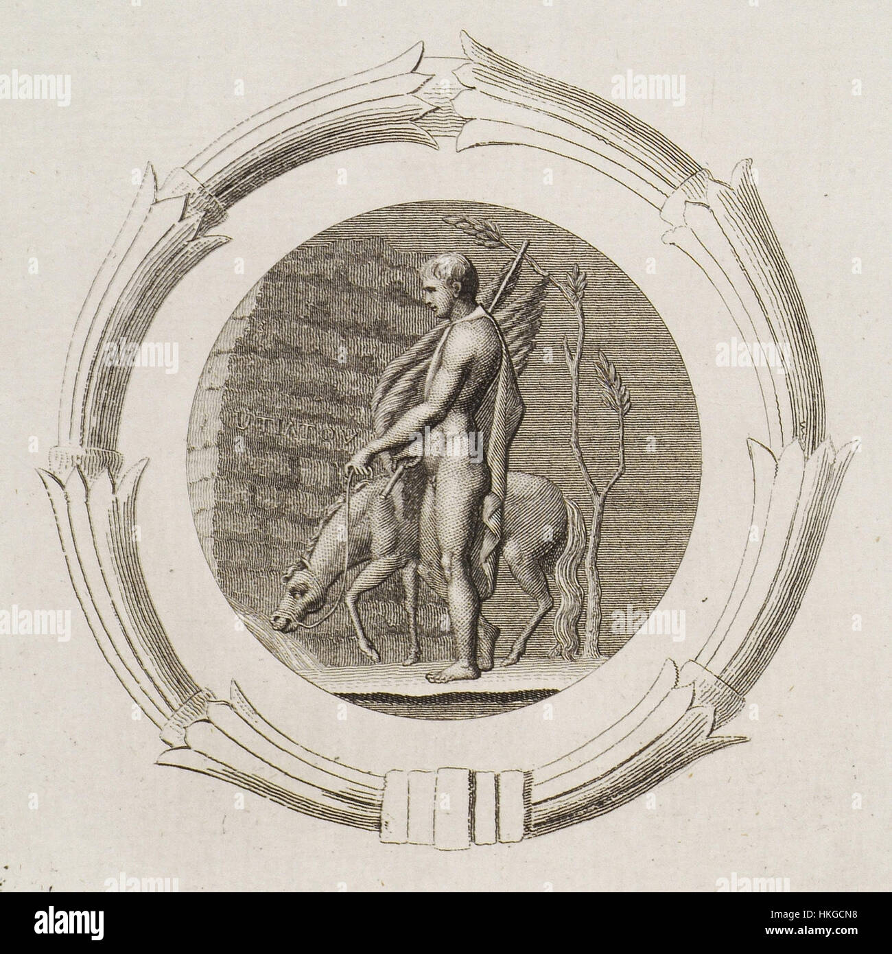 Tail and crown hi-res stock photography and images - Alamy