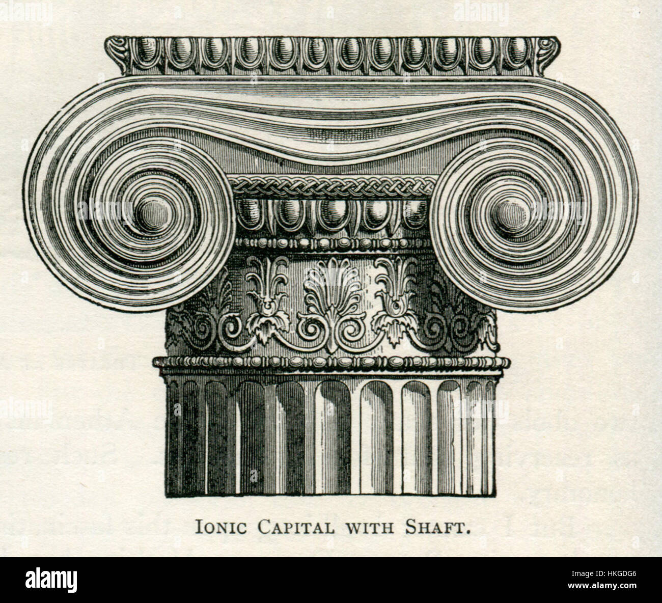 This photograph shows an Ionic capital with shaft, created by John ...