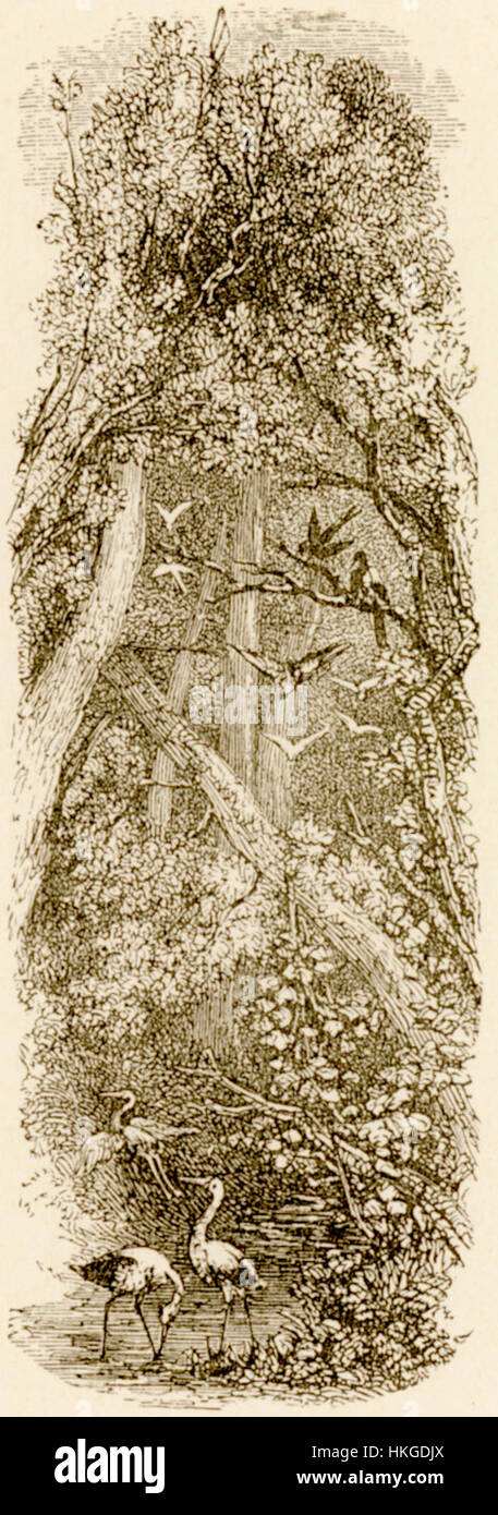 This 1882 painting by Christopher Wordsworth depicts the scenic Vale of ...