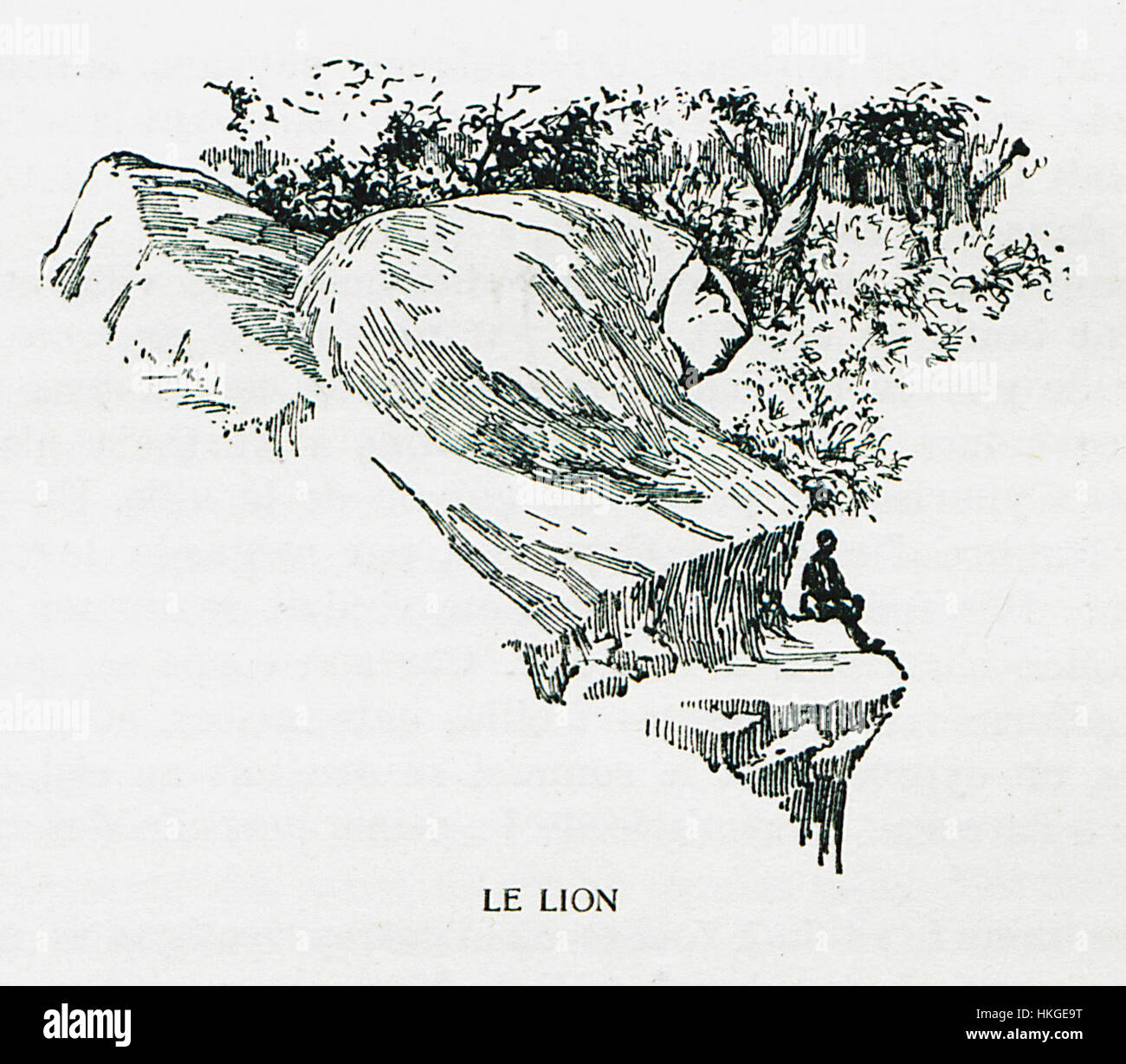 'Le lion Perilla' by Francesco depicts a powerful and majestic lion ...