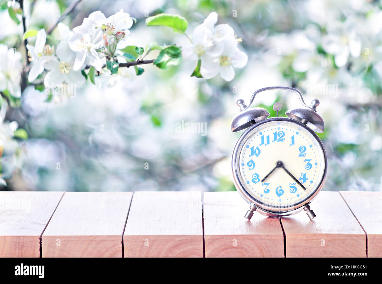 Vintage alarm clock on wooden table or bench in the spring season ...