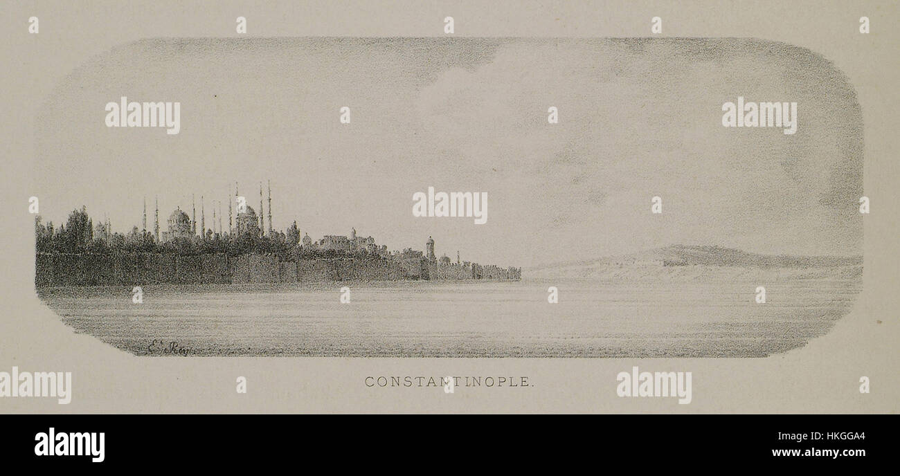 'Constantinople Rey Etienne 1867' is an oil painting depicting the city ...