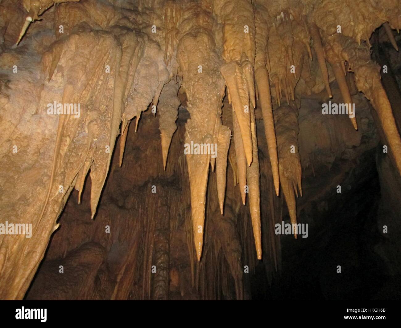 Guacharo cave hi-res stock photography and images - Alamy
