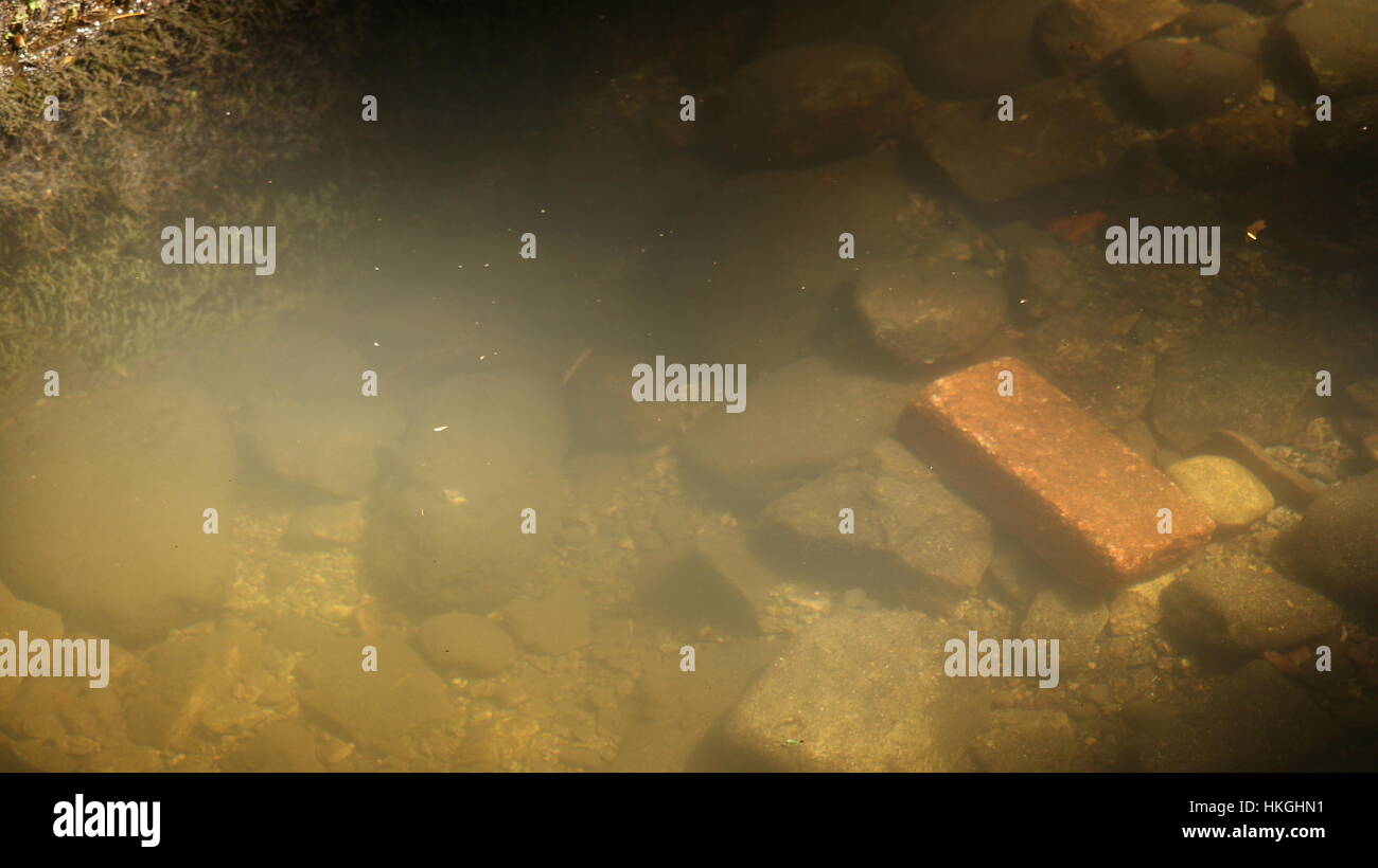 A brick submerged in water Stock Photo - Alamy