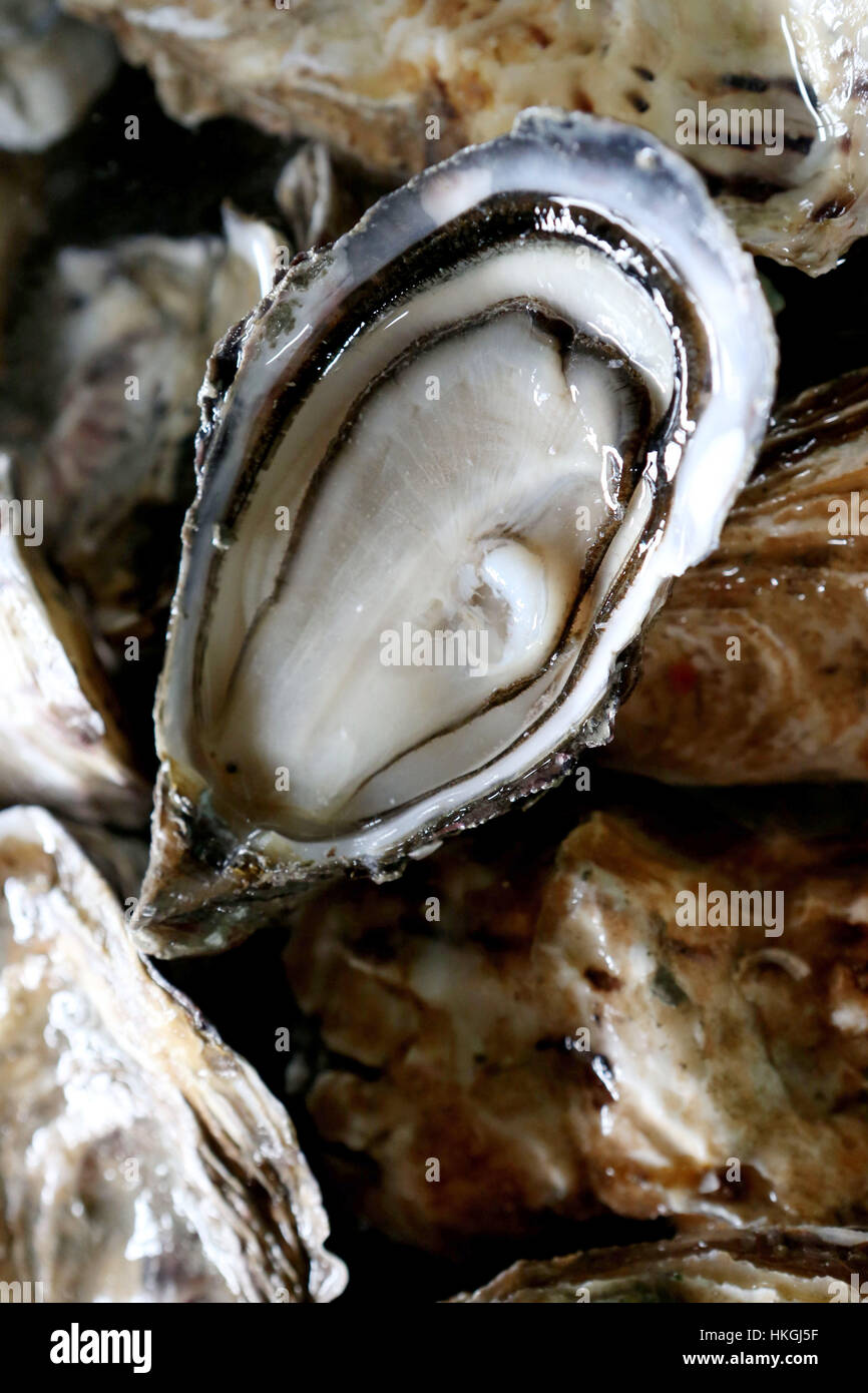 Close up open oyster hi-res stock photography and images - Alamy