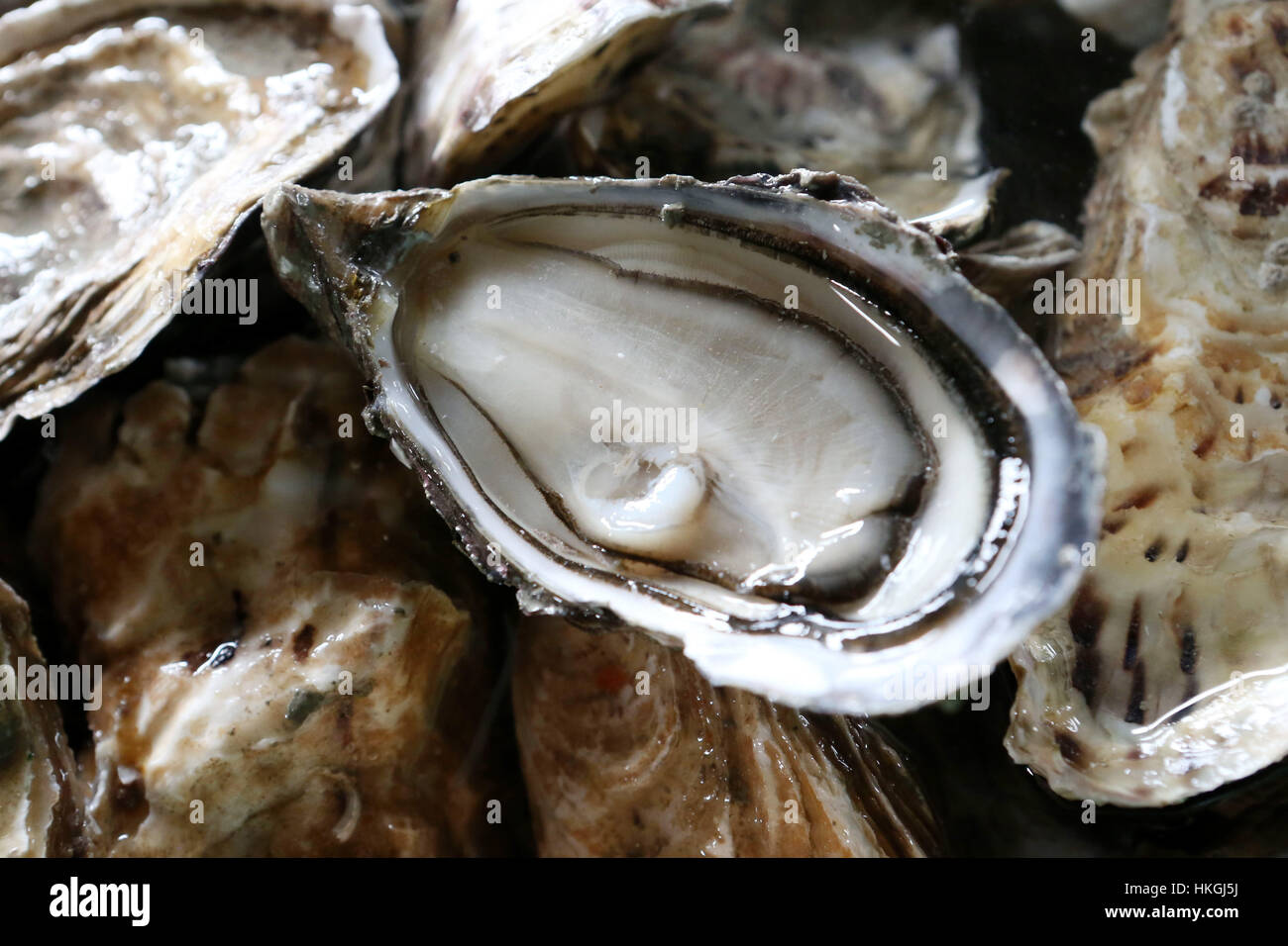 Close up open oyster hi-res stock photography and images - Alamy