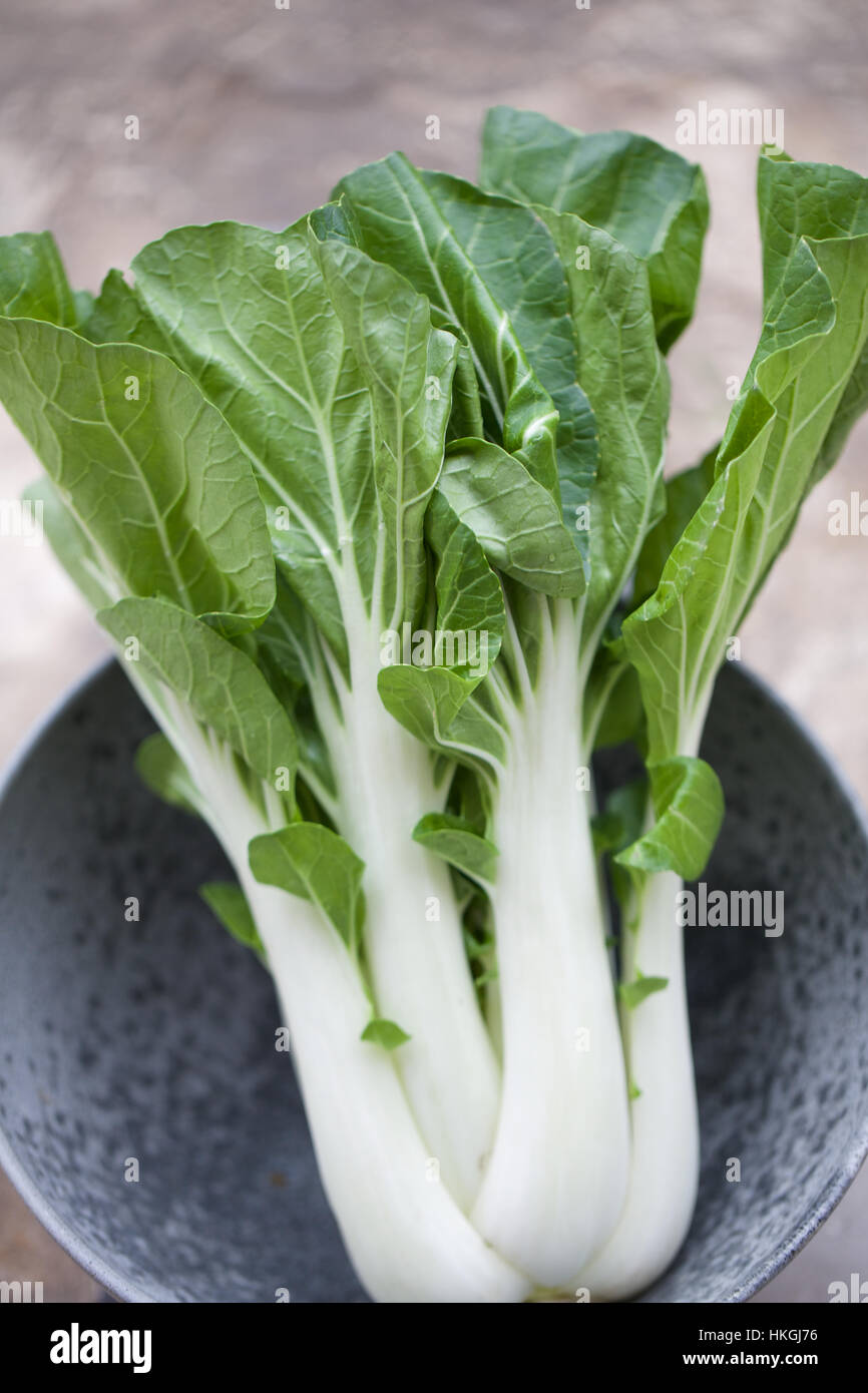 Fresh pok choy in bowl food hi-res stock photography and images - Alamy