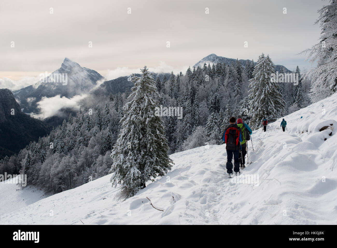 Chartreuse Mountains Range High Resolution Stock Photography and Images ...