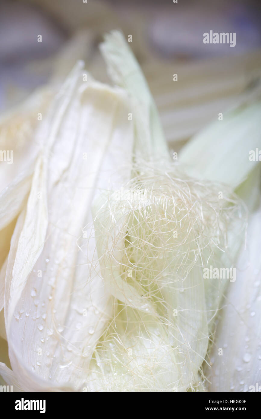 Skin of peeled corn husk hi-res stock photography and images - Alamy