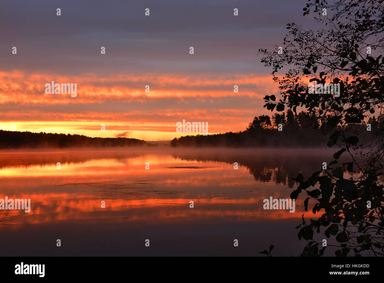 Red dawn in forest lake Stock Photo - Alamy