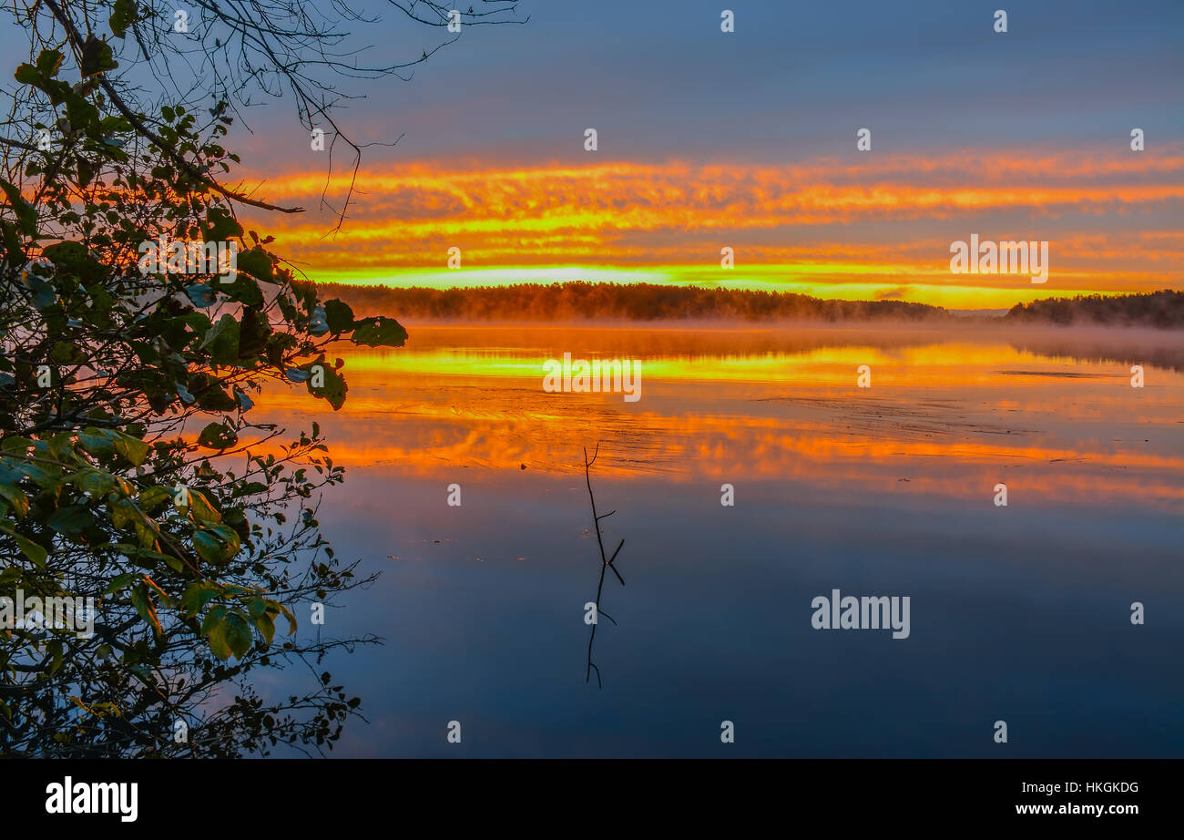 Red dawn in forest lake Stock Photo - Alamy