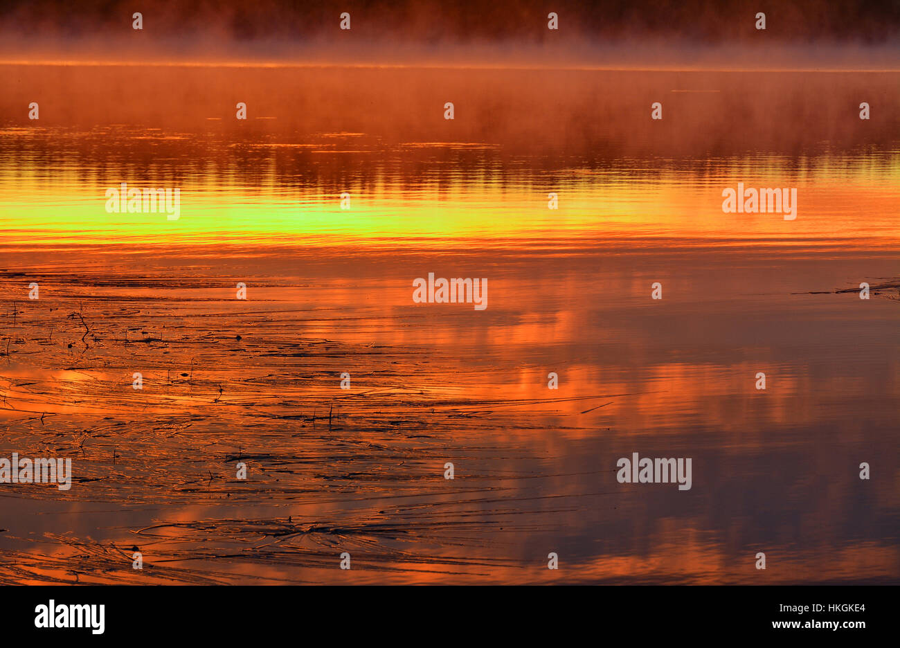 Red dawn in forest lake Stock Photo - Alamy