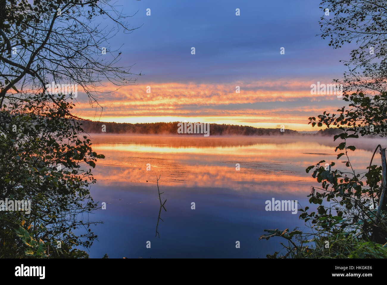 Red dawn in forest lake Stock Photo - Alamy