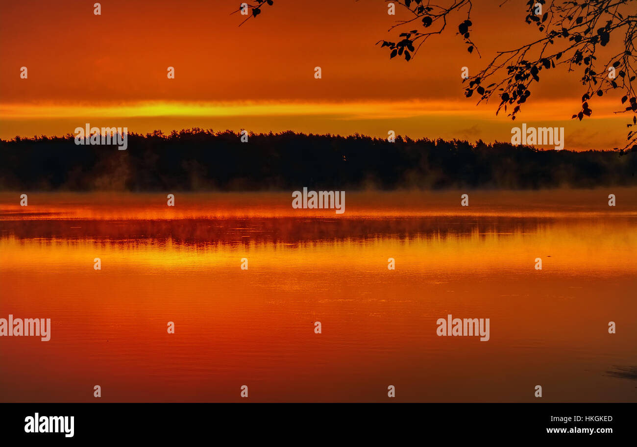 Red dawn in forest lake Stock Photo - Alamy