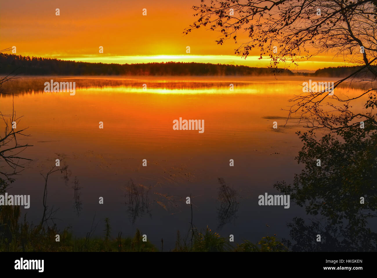 Red dawn in forest lake Stock Photo - Alamy
