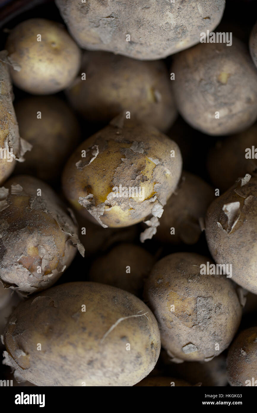 Pile potato hi-res stock photography and images - Alamy