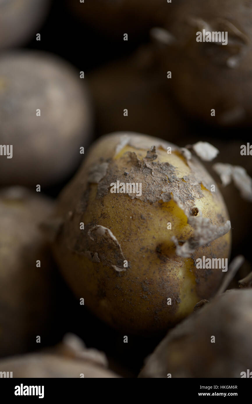 Vegetable potato hi-res stock photography and images - Alamy