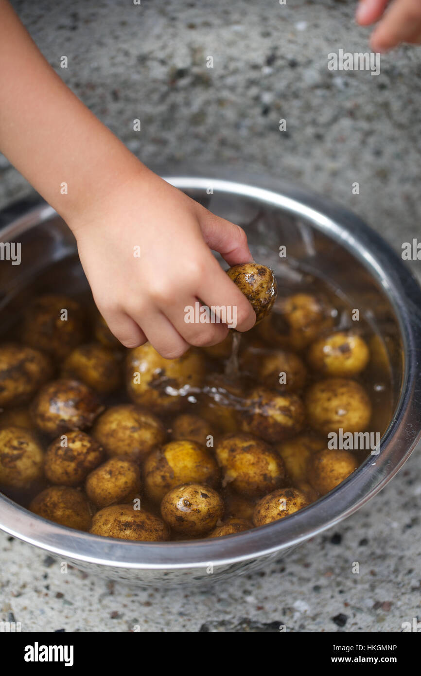 hand washing new potatoes in bowl. raw potato, food, wet, hygiene Stock ...