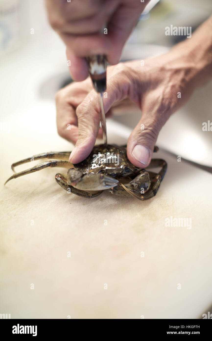 hands cutting raw crab. seafood, animal, knife, food Stock Photo - Alamy