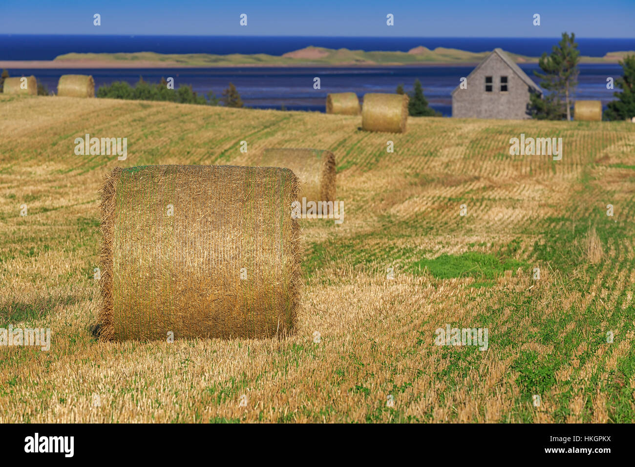 Straw island hi-res stock photography and images - Alamy