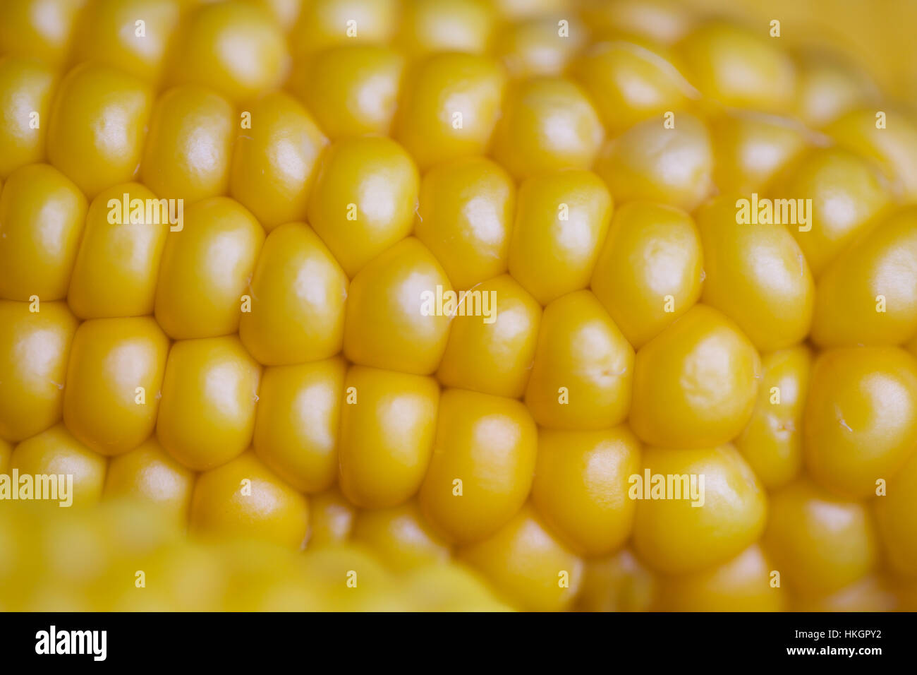 Maize food hi-res stock photography and images - Alamy
