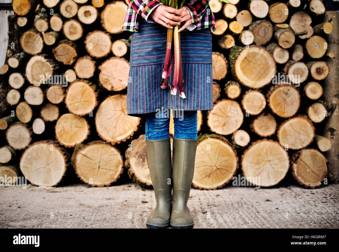Firewood Fuelwood Lumber Timber Lumber Log Concept Stock Photo - Alamy
