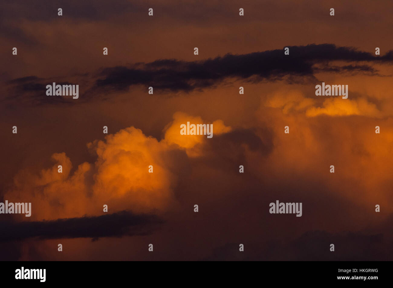 Cloud with the shape of a monkey face Stock Photo - Alamy