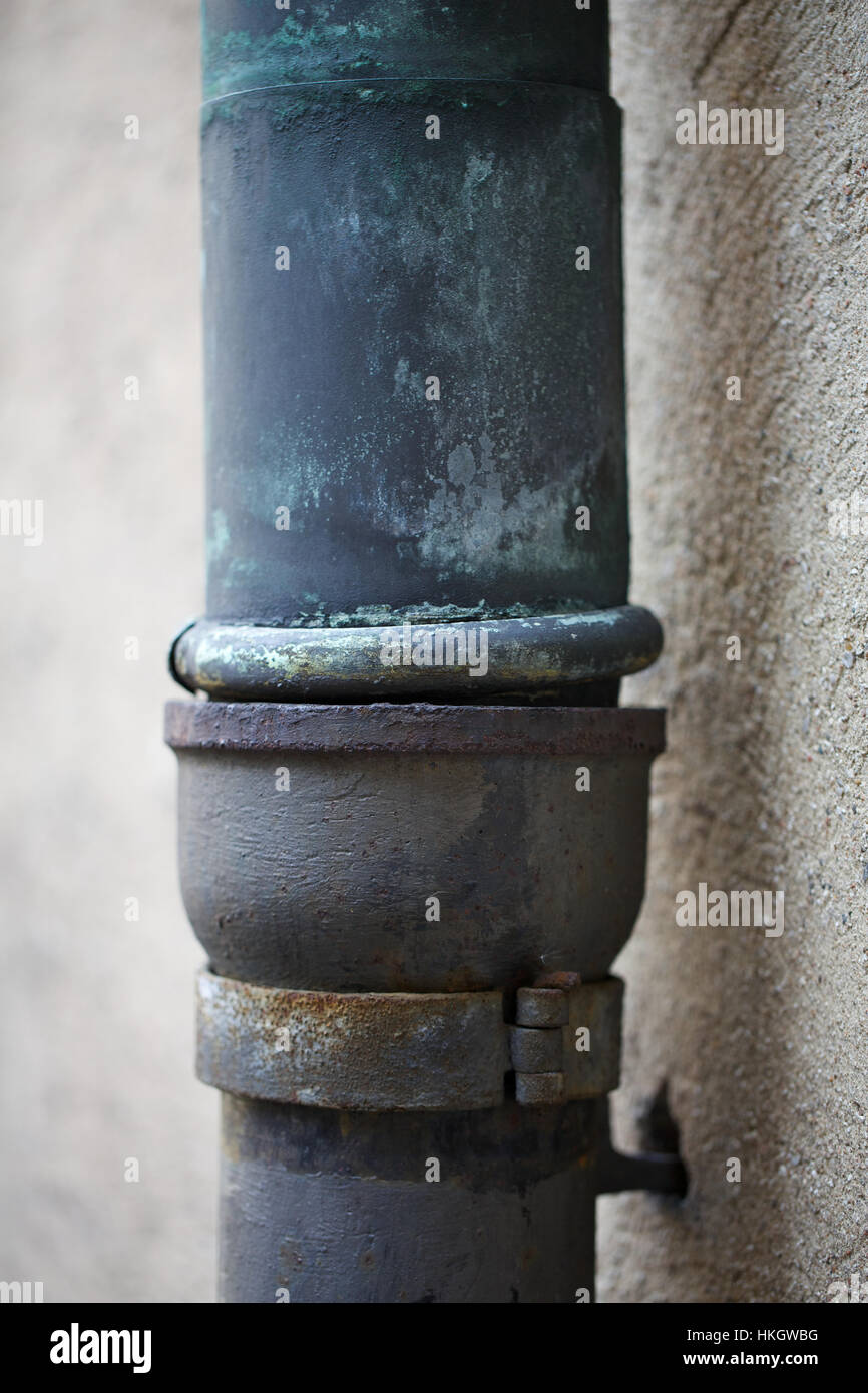 Female stare hi-res stock photography and images - Alamy
