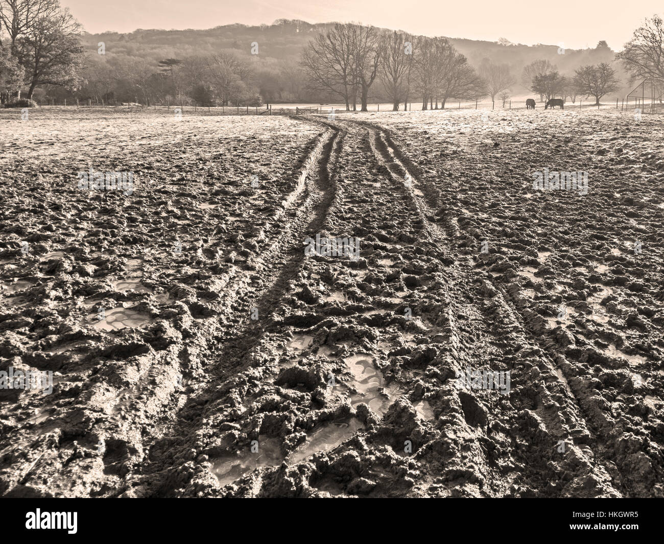 Muddy field hi-res stock photography and images - Alamy