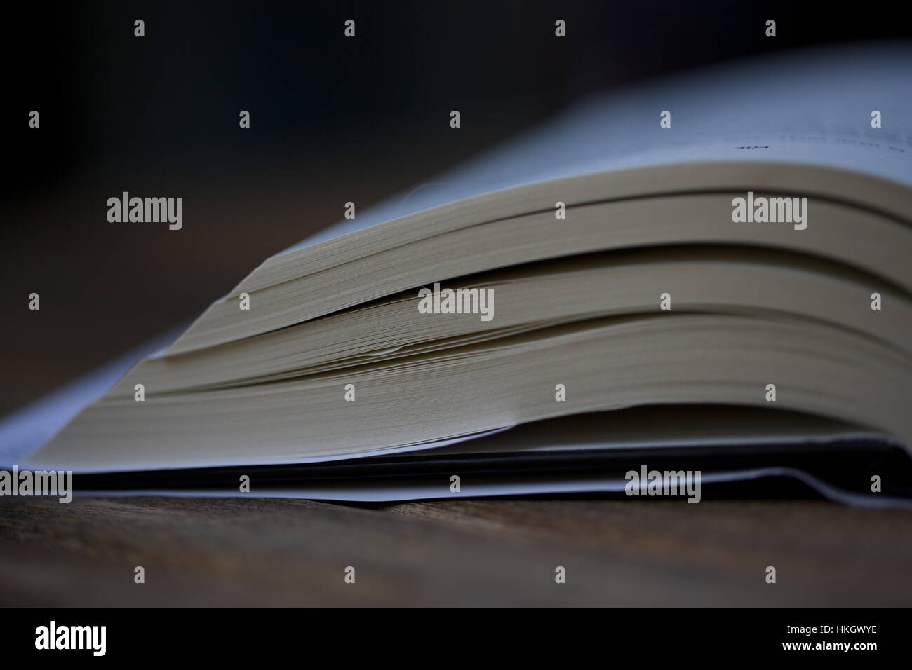 Large Open Book High Resolution Stock Photography and Images - Alamy
