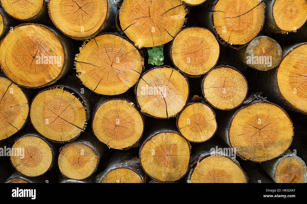 Lumbering hi-res stock photography and images - Alamy