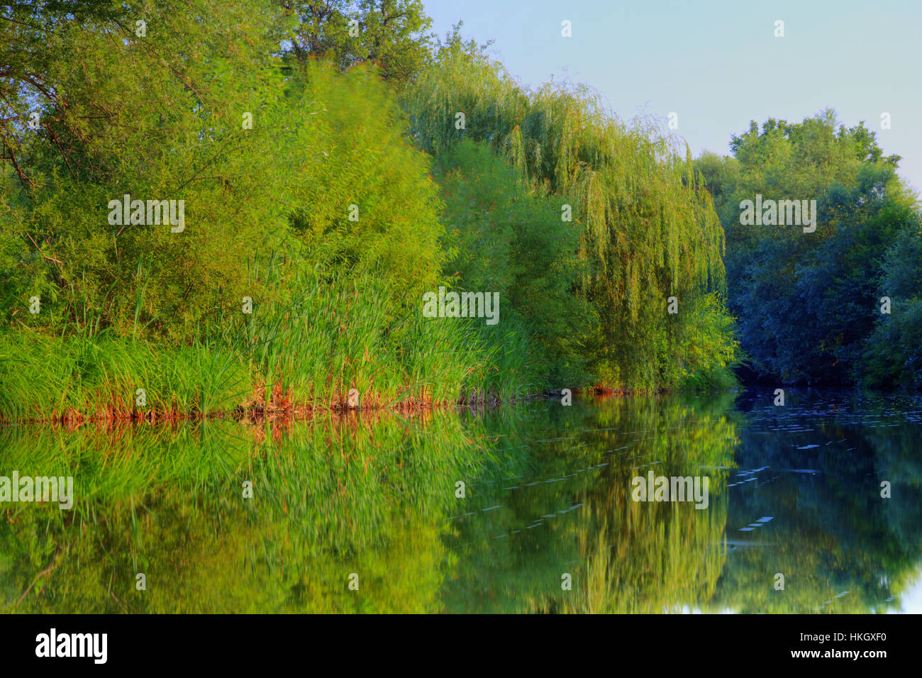 Beautiful river landscape Stock Photo - Alamy