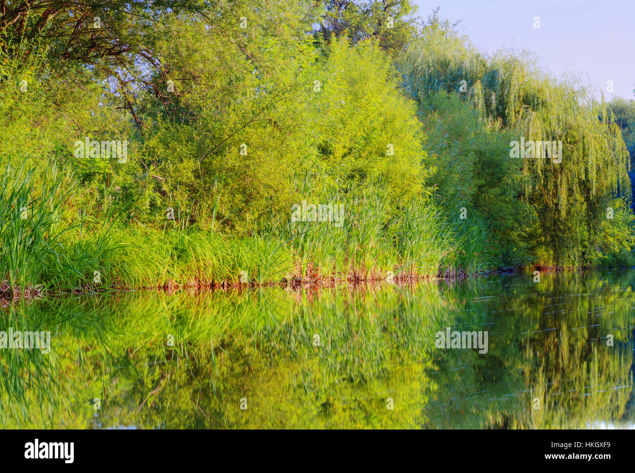 Beautiful river landscape Stock Photo - Alamy