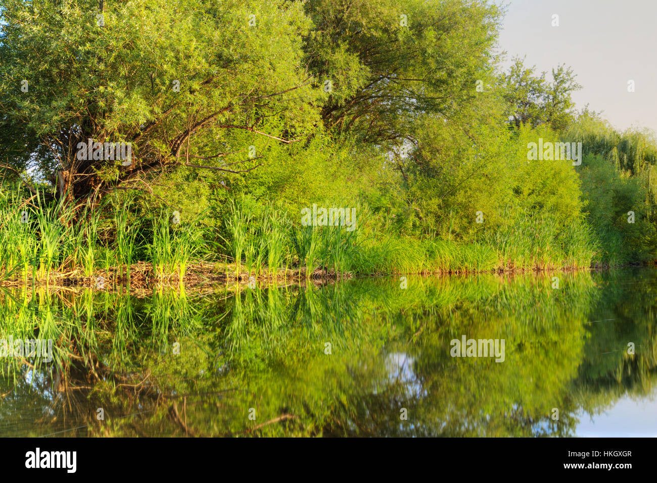 Beautiful river landscape Stock Photo - Alamy