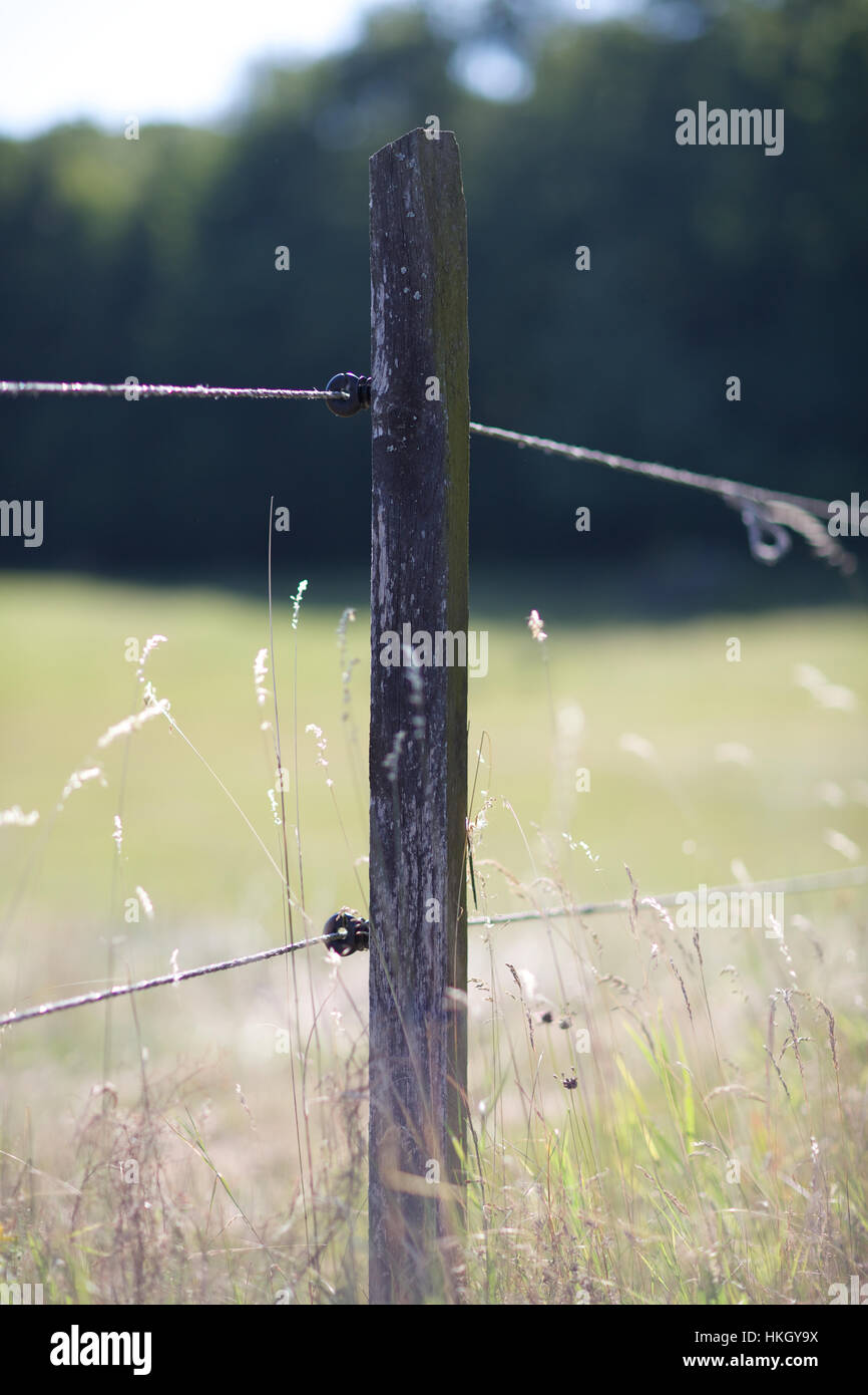 Straw fencing hi-res stock photography and images - Alamy