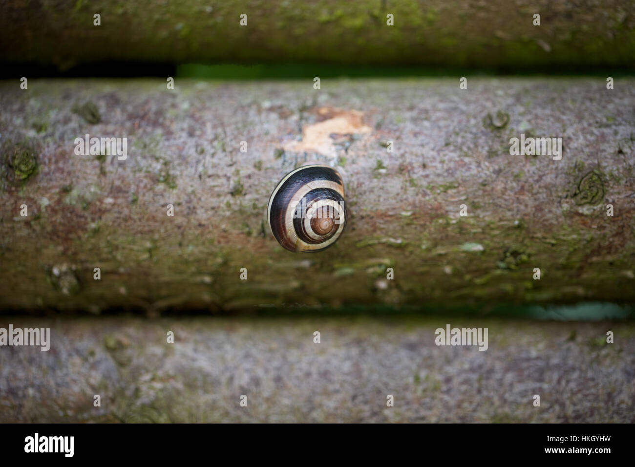 Rough and fragile hi-res stock photography and images - Alamy