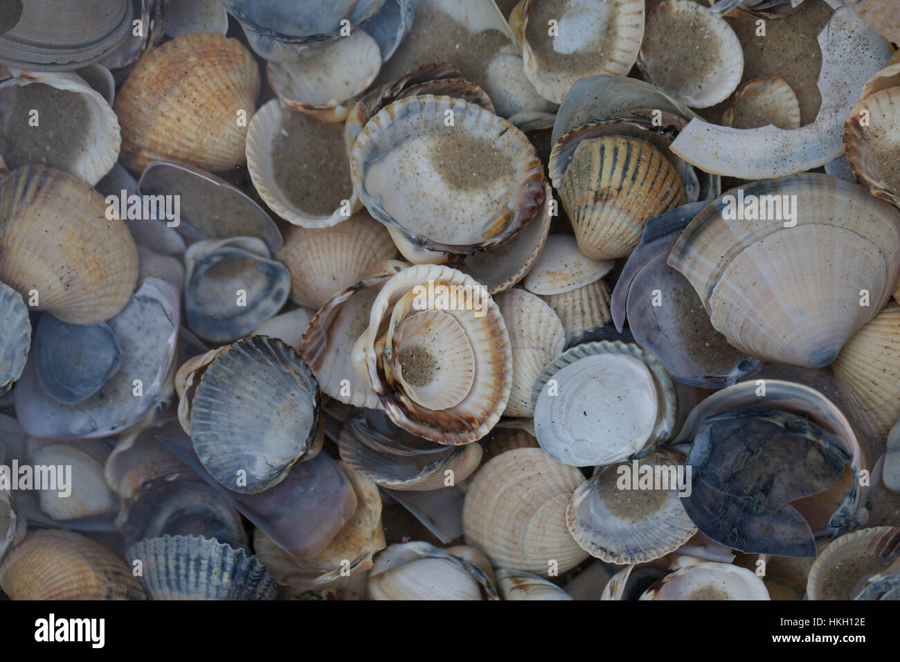 Pattern and shape hi-res stock photography and images - Alamy