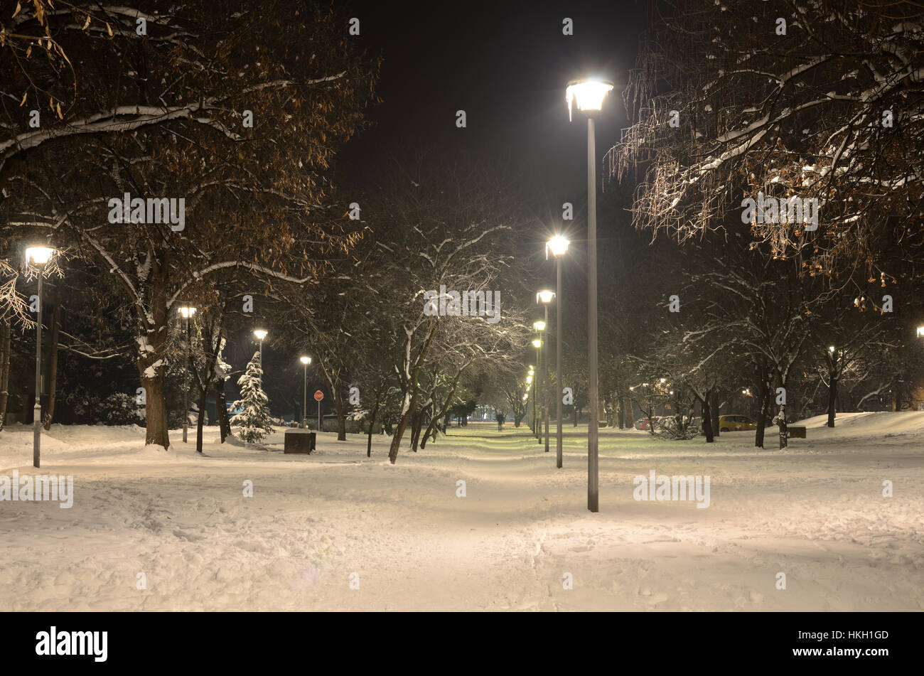 Night scene of a park alley under the snow in winter time Stock Photo ...