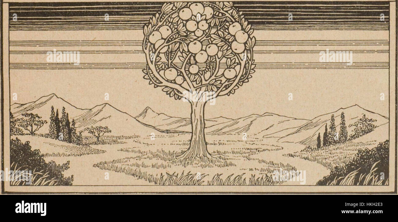 'Paradise Tree' is a botanical artwork showcasing the beauty and ...