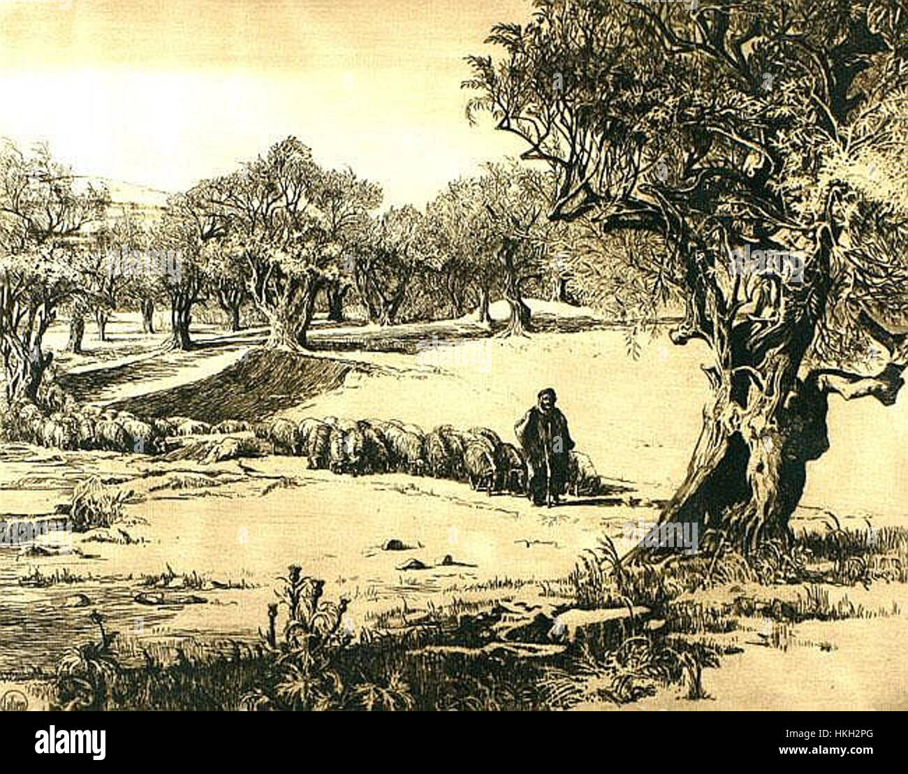 *Syrian Shepherd* is an oil painting depicting a shepherd from Syria in ...