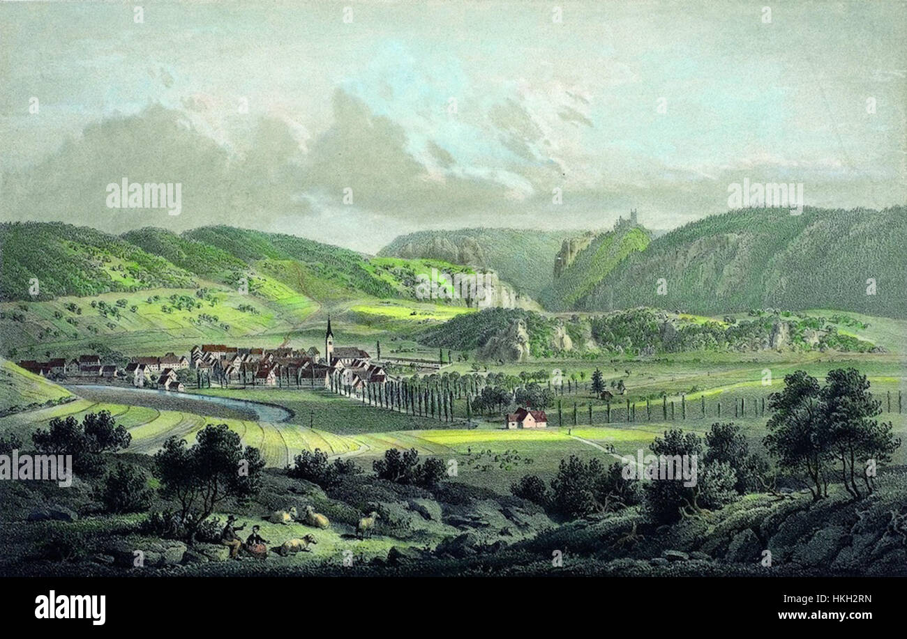 This city view of Fridingen, painted by Eberhard Emminger, offers a ...